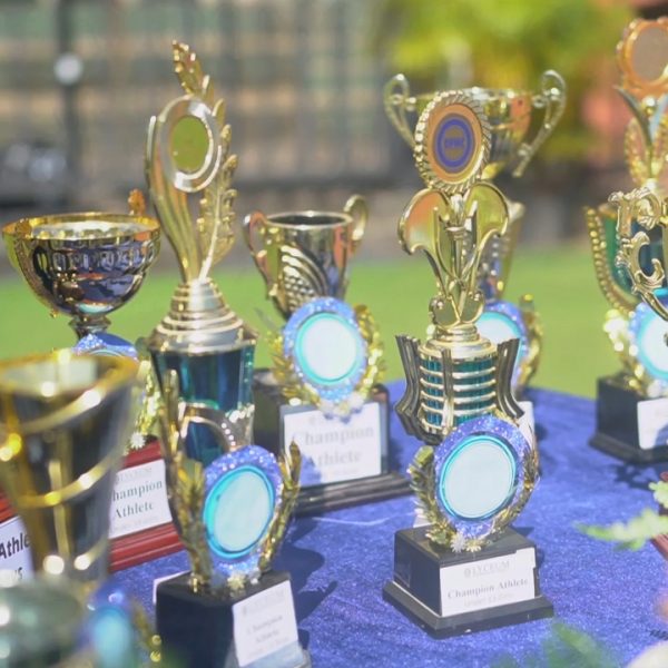 News & Updates — Lyceum International School