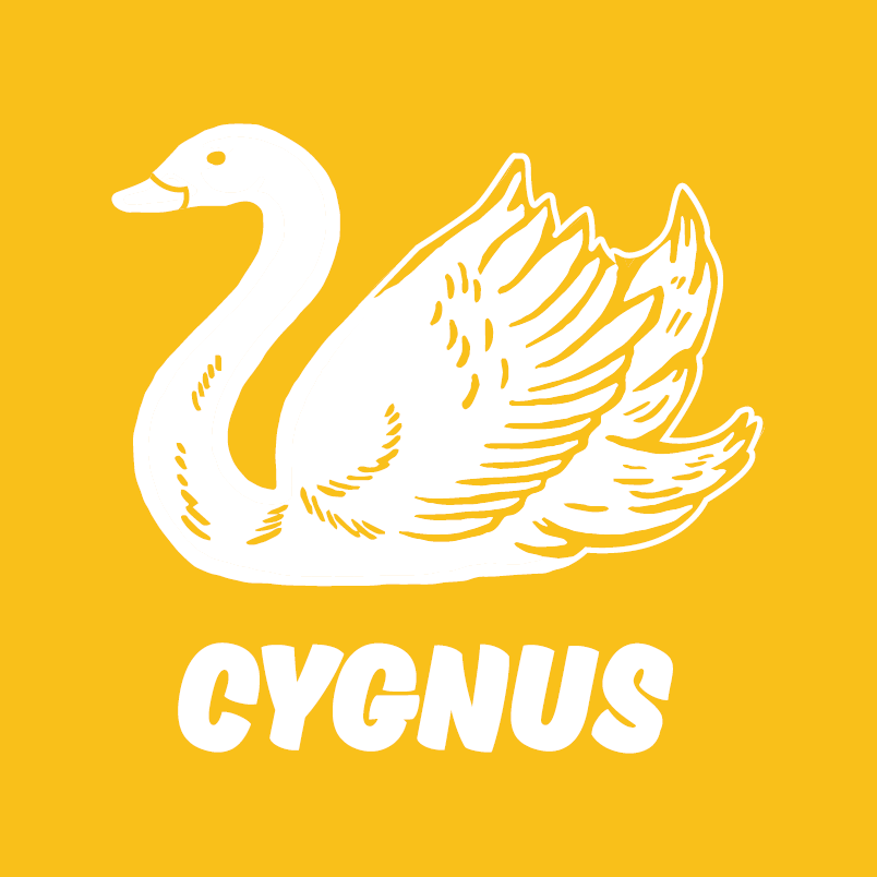 School Houses — Lyceum International School