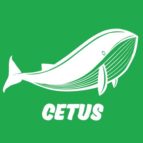 School Houses — Lyceum International School