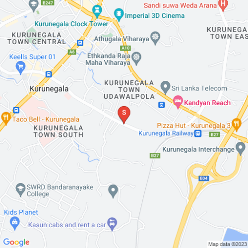 Branches — Lyceum International School